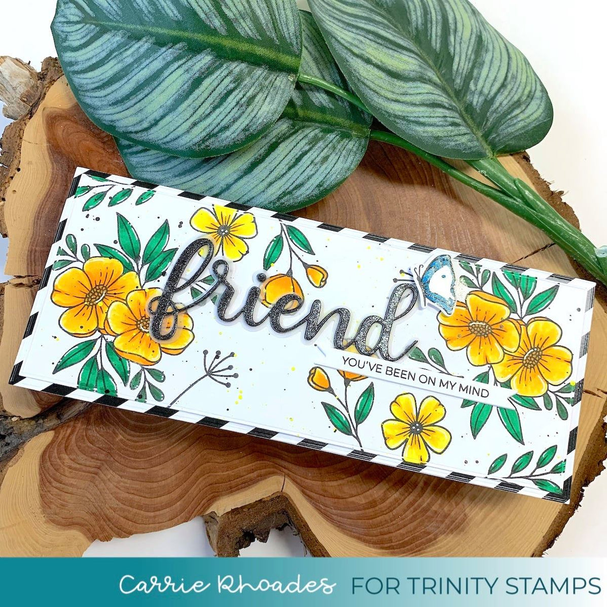 First Bloom 4x6 Stamp Set– Trinity Stamps